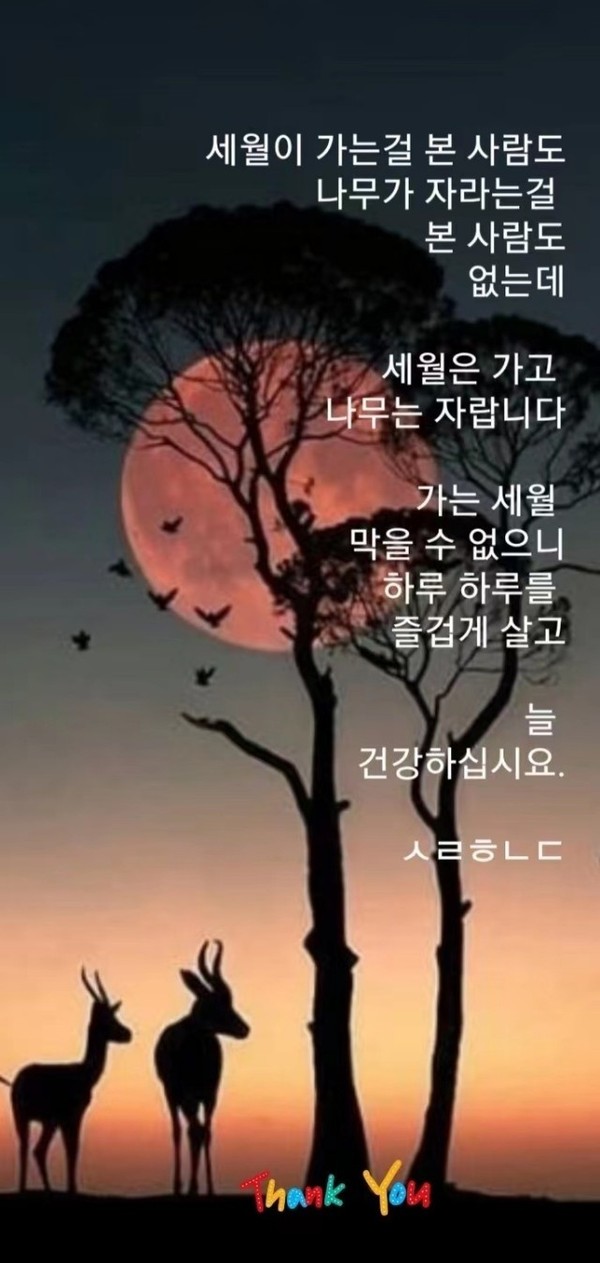 22.11.07 아침메세지!!